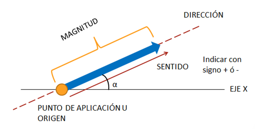FÍSICA 1: VECTORES