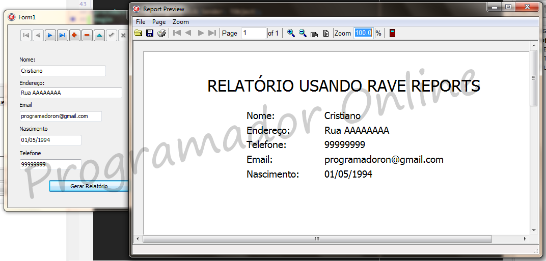 Criando um Relatório com o Rave Reports ~ Programador Online