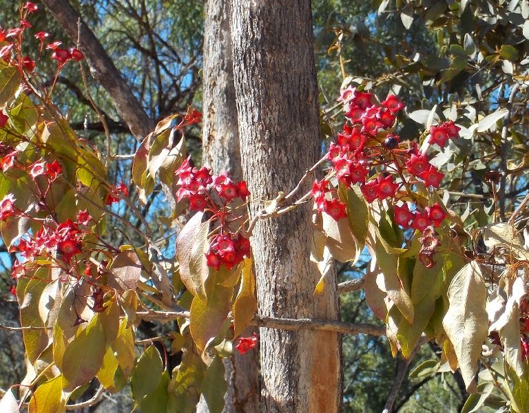 Inland Safaris: June 2014