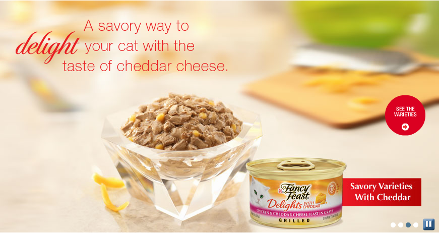 All Fancy Feast Gourmet Cat Food