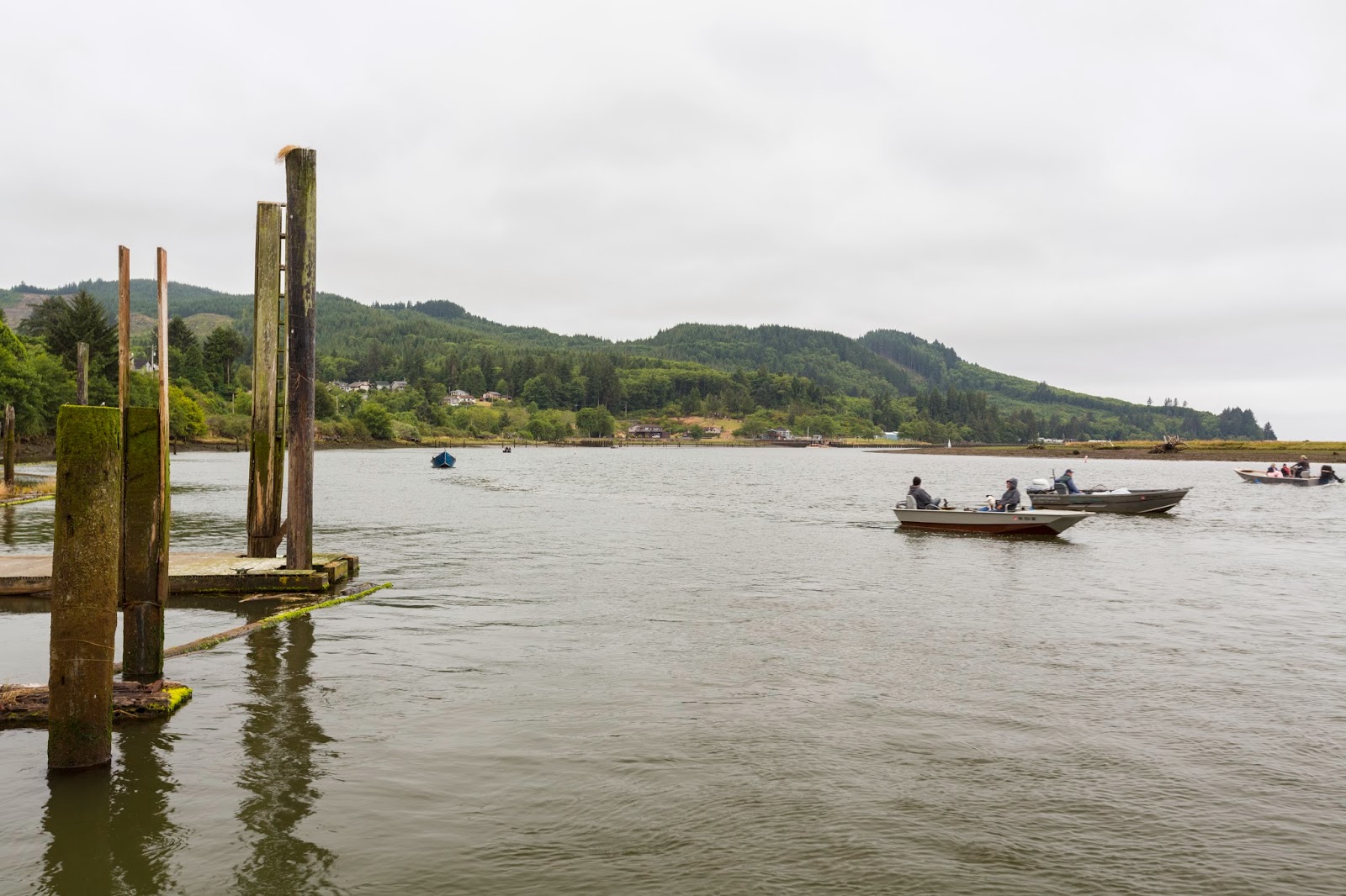 Naturetastic Blog: Wheeler - Oregon Coast
