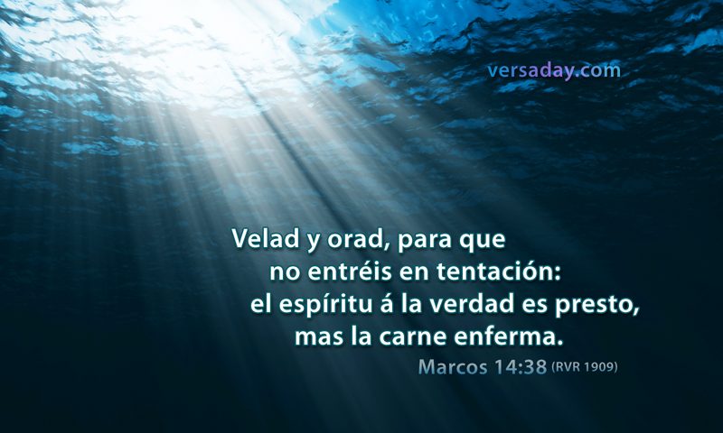 Aprendiendo la Sana Doctrina: 06/03/12