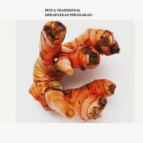 PETUA TRADISIONAL MERAPATKAN PERANAKAN. | PETUA-PETUA TRADISIONAL