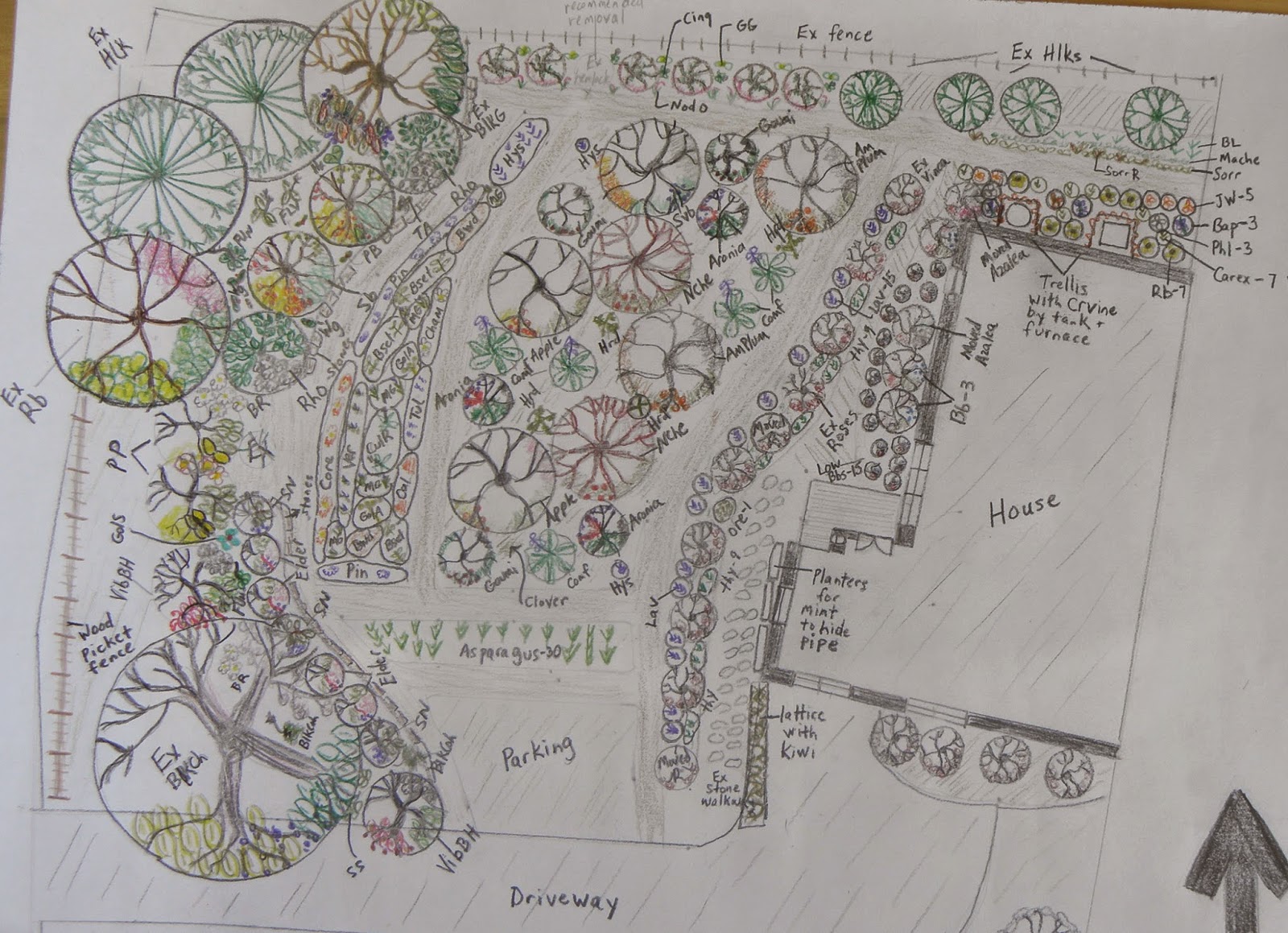 Landscape Design Drawing Symbols