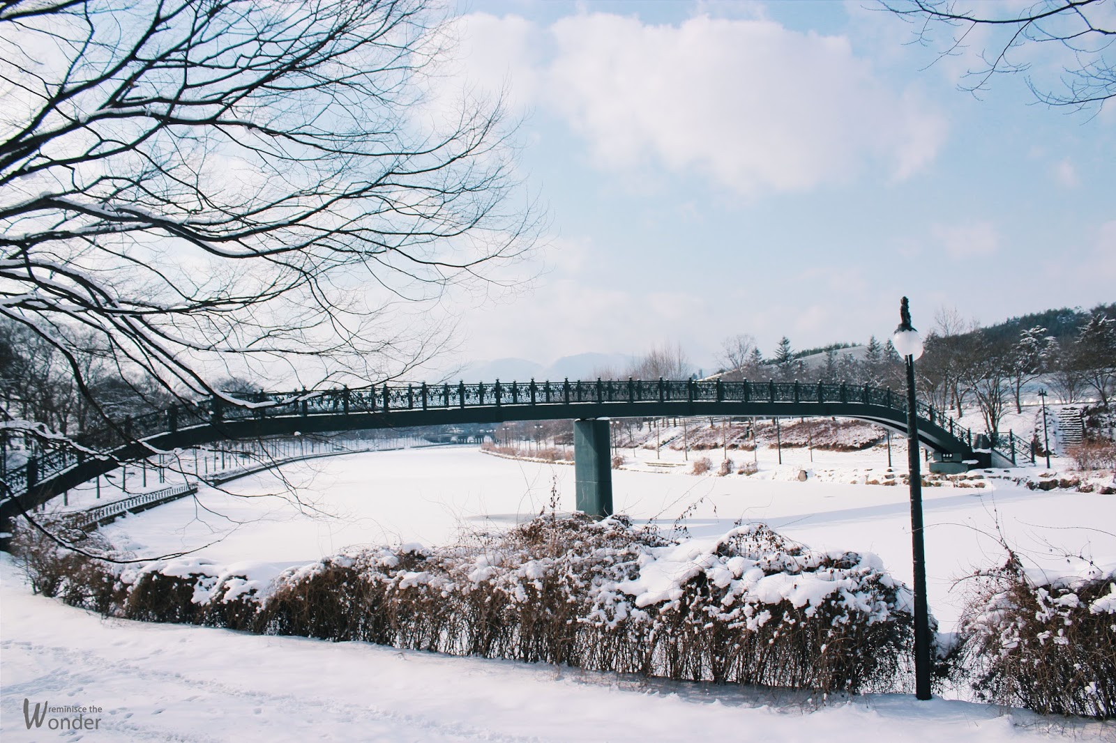 Winter Wonderland in Damyang Pt. 3 - Gwanbangjerim Forest (관방제림 ...