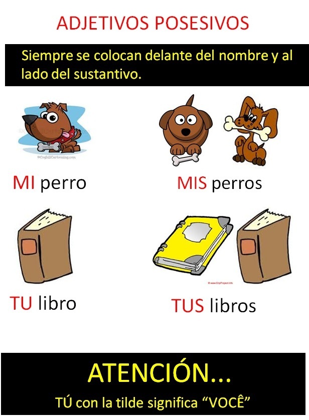 Cambiando Ideas sobre la Enseñanza del Español: Adjetivos Posesivos