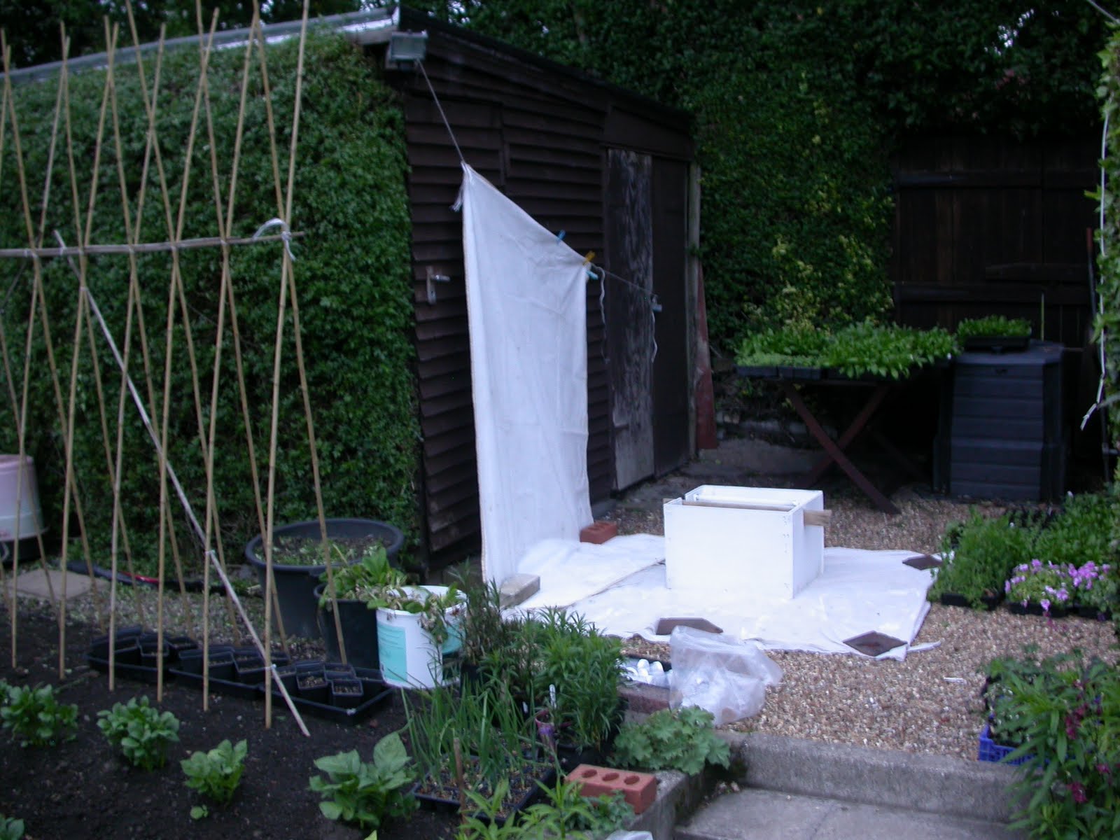 Ripley Moths: My moth trap design history