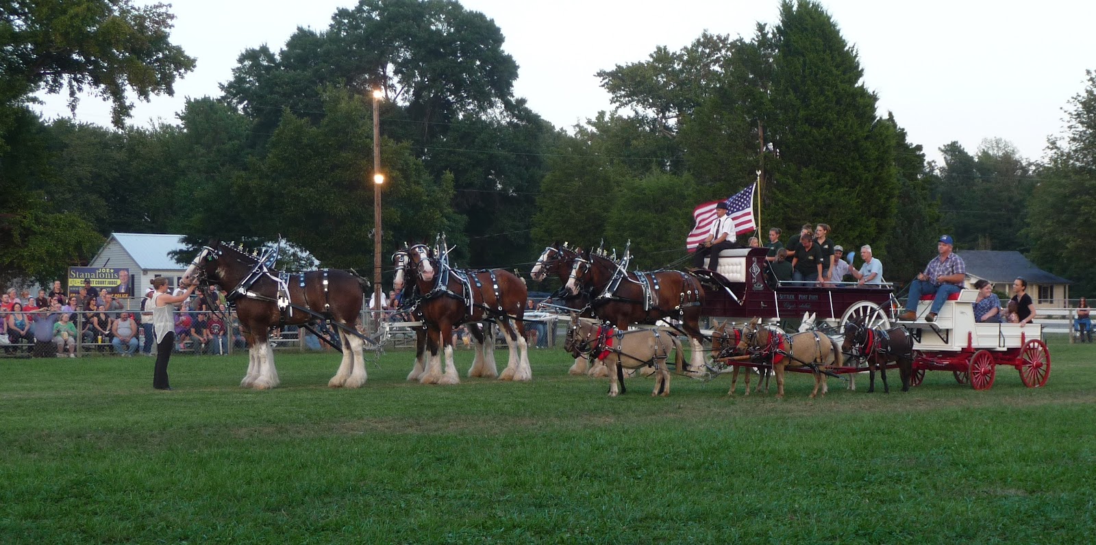 Wild Rose Farm: Equine Power!
