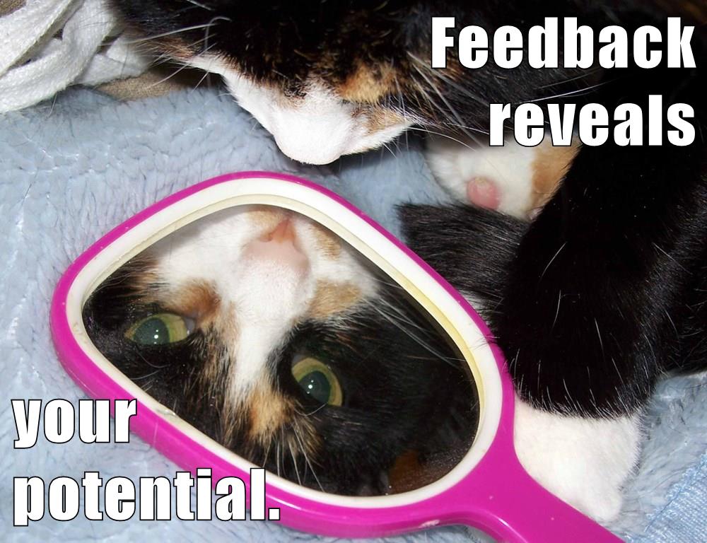 Growth Mindset & Feedback Cats: Feedback reveals your potential.