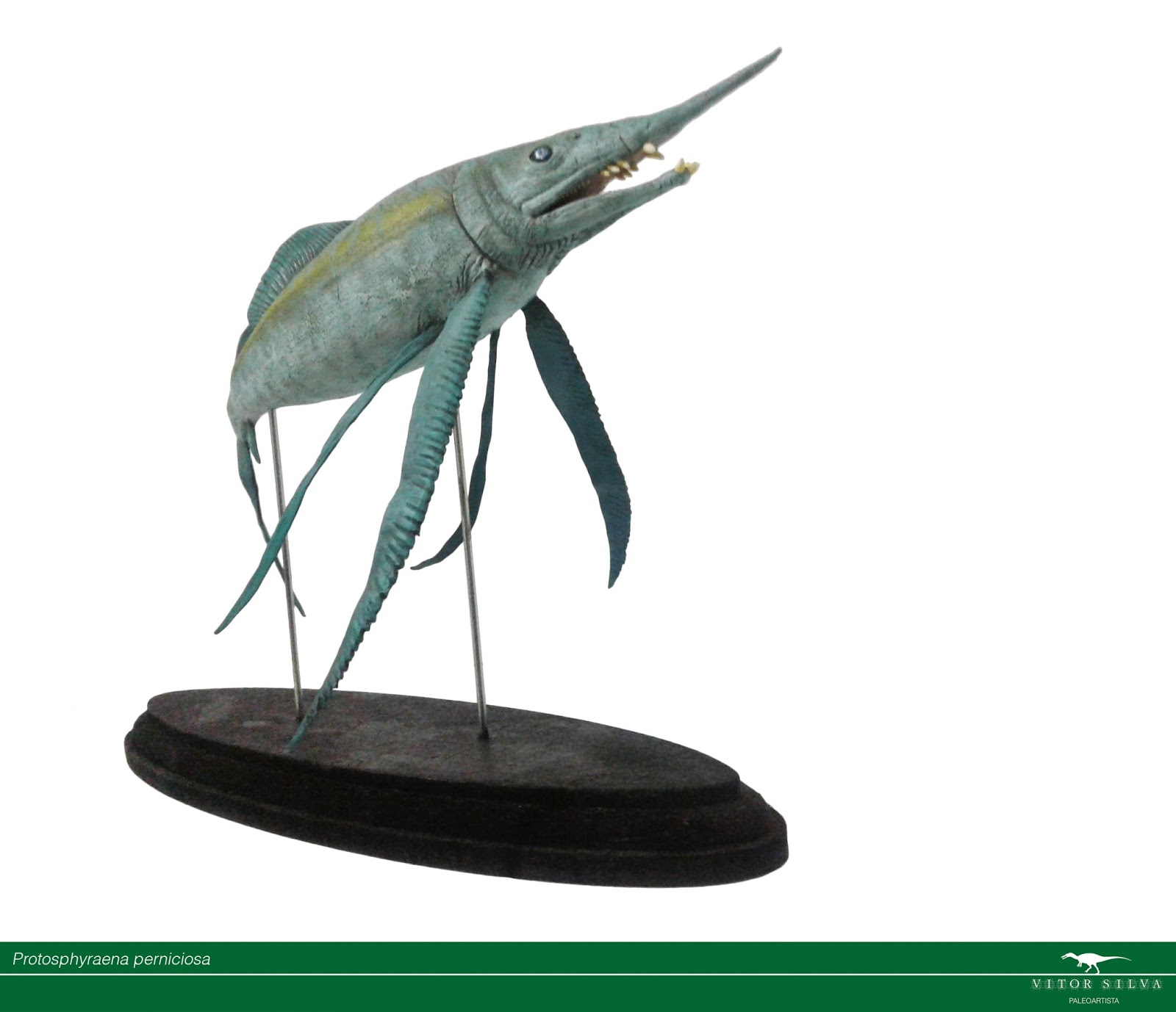 Vitor Silva - Paleoartista: Protosphyraena