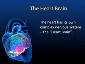 Stairway to Self Discovery: Why sometimes Heart & Brain undergo ...