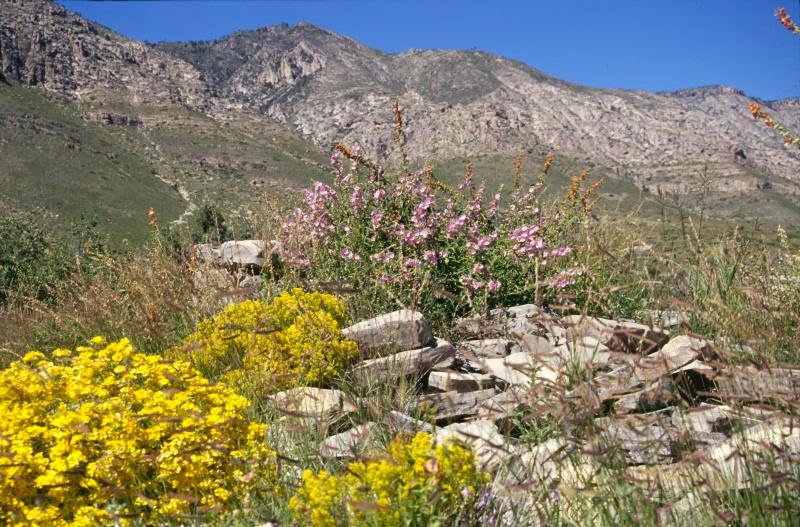 Day Hiking Trails: Trail heads to Butterfield station ruins
