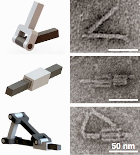 MUSEBEFUDDLED: Engineered DNA Make Nano-Machines