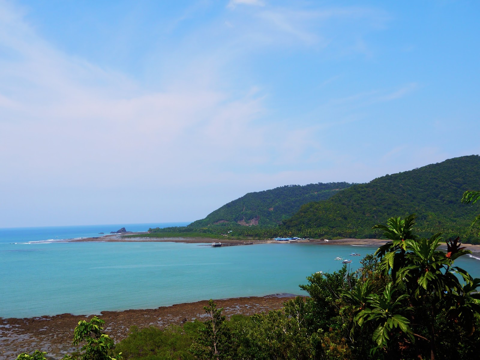 Baler Beyond Beauty