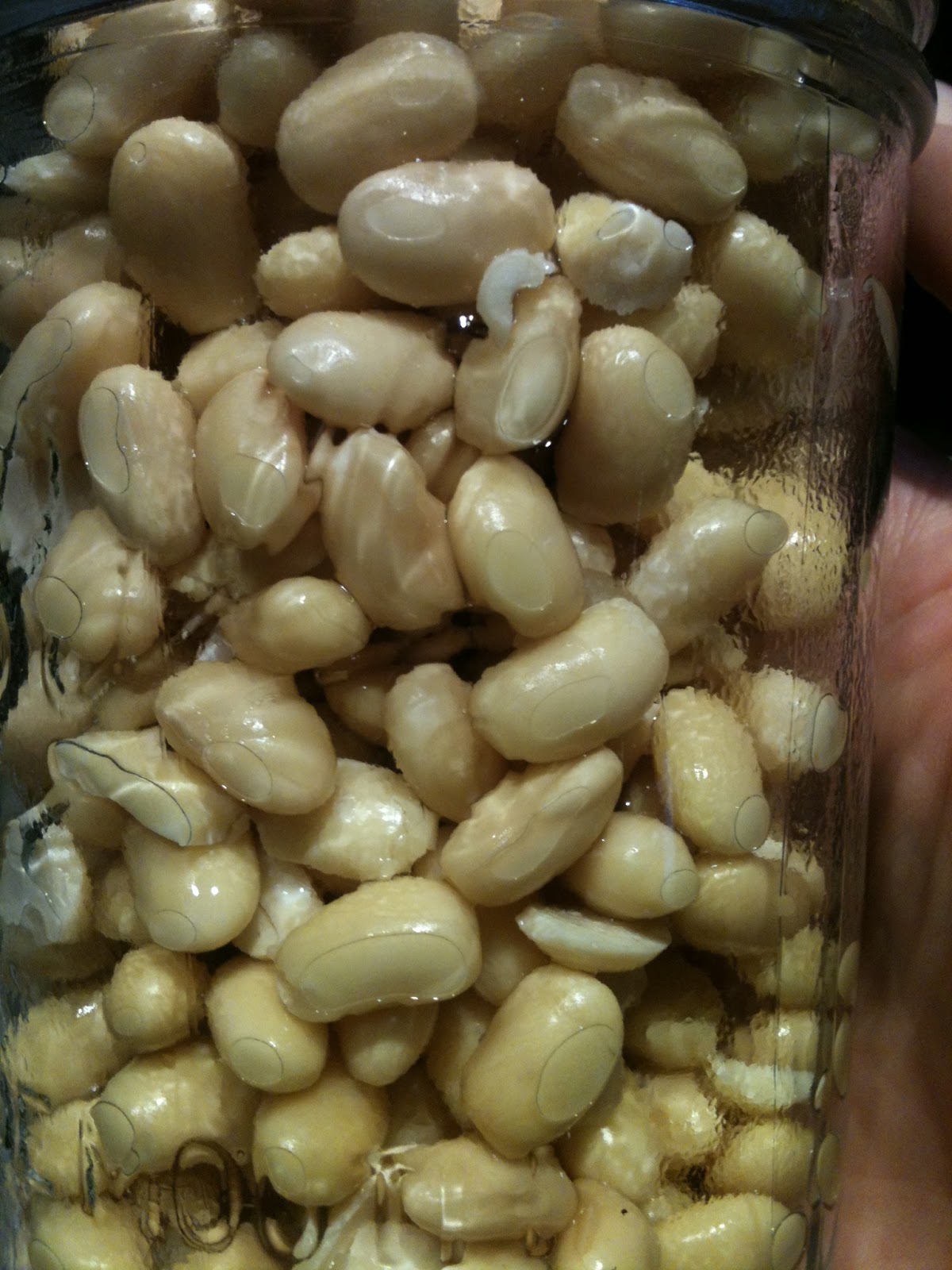 Several Gardens Farm: Making Miso