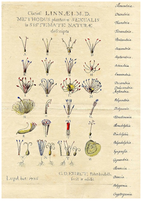 Knowledge Class: Linnaean Classification of Species