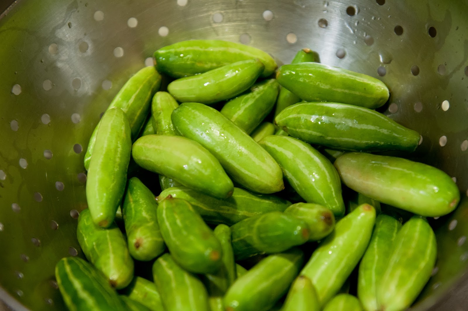 Indian Food Rocks: It's Not Too Late