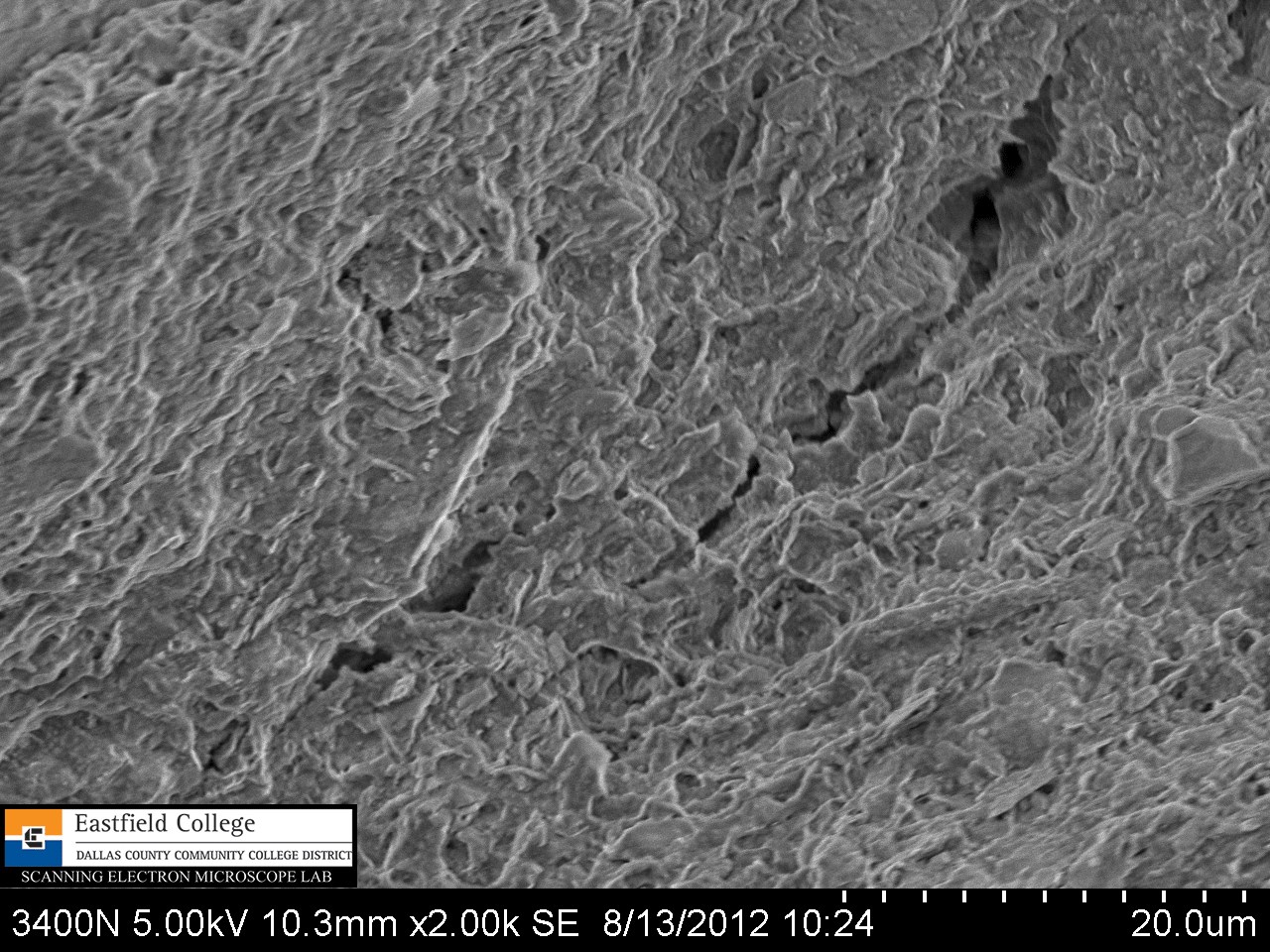 Scanning Electron Microscope Blog: Geology on a small scale
