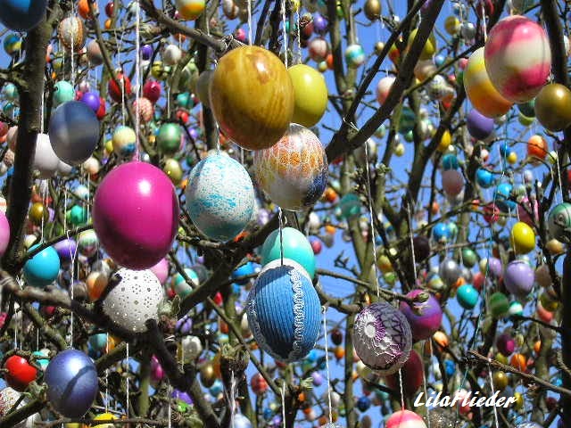 Lila-Flieder-Garten: Der Ostereier - Apfelbaum