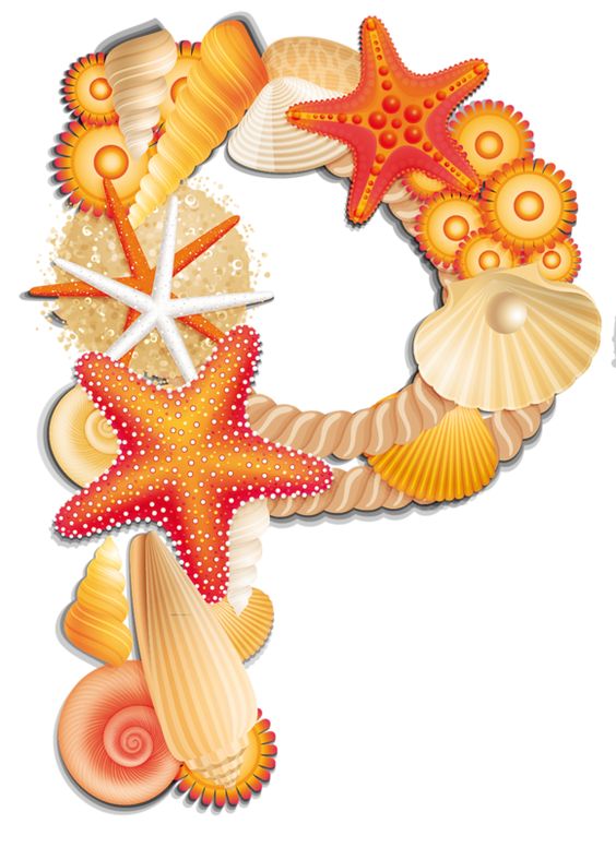 Escuela infantil castillo de Blanca: ALFABETO CON CONCHAS