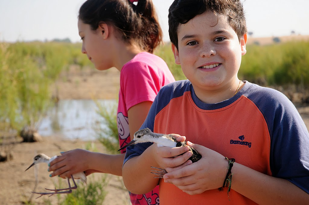 Blog del IES Laguna de Tollón: En nuestras manos