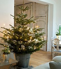 10 Simple Steps to Creating the Perfect Christmas Tree | Home Chic Club ...