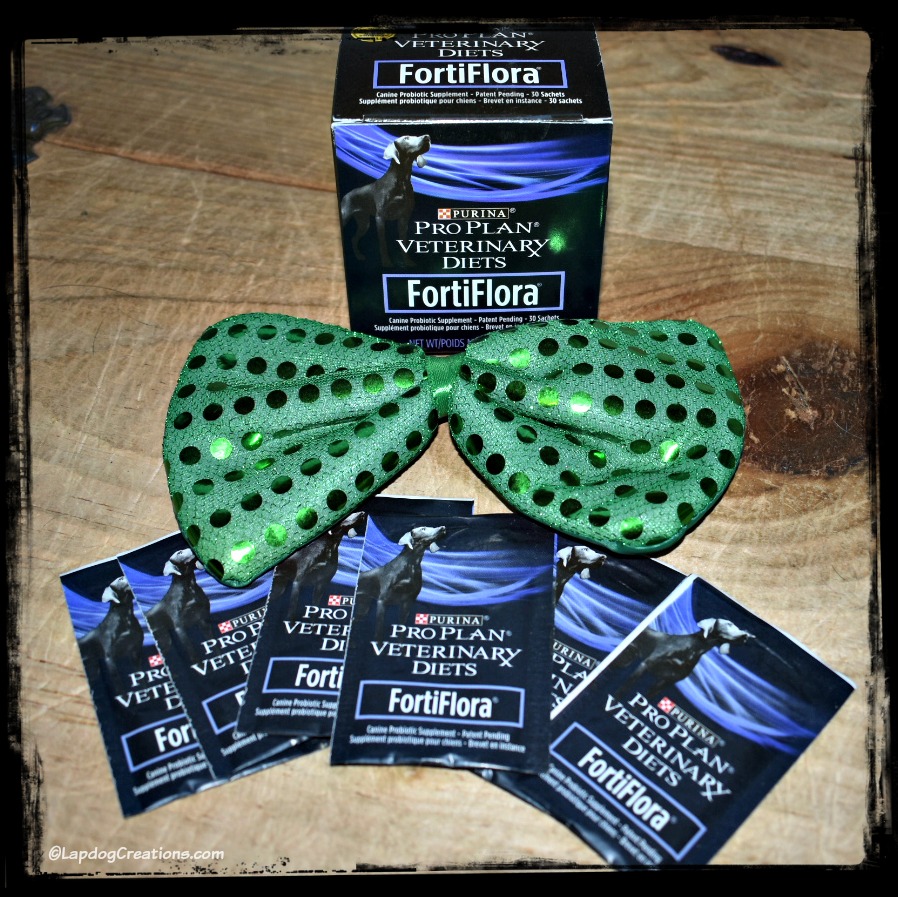 Lapdog Creations: FortiFlora Probiotic Supplement #ChewyInfluencer