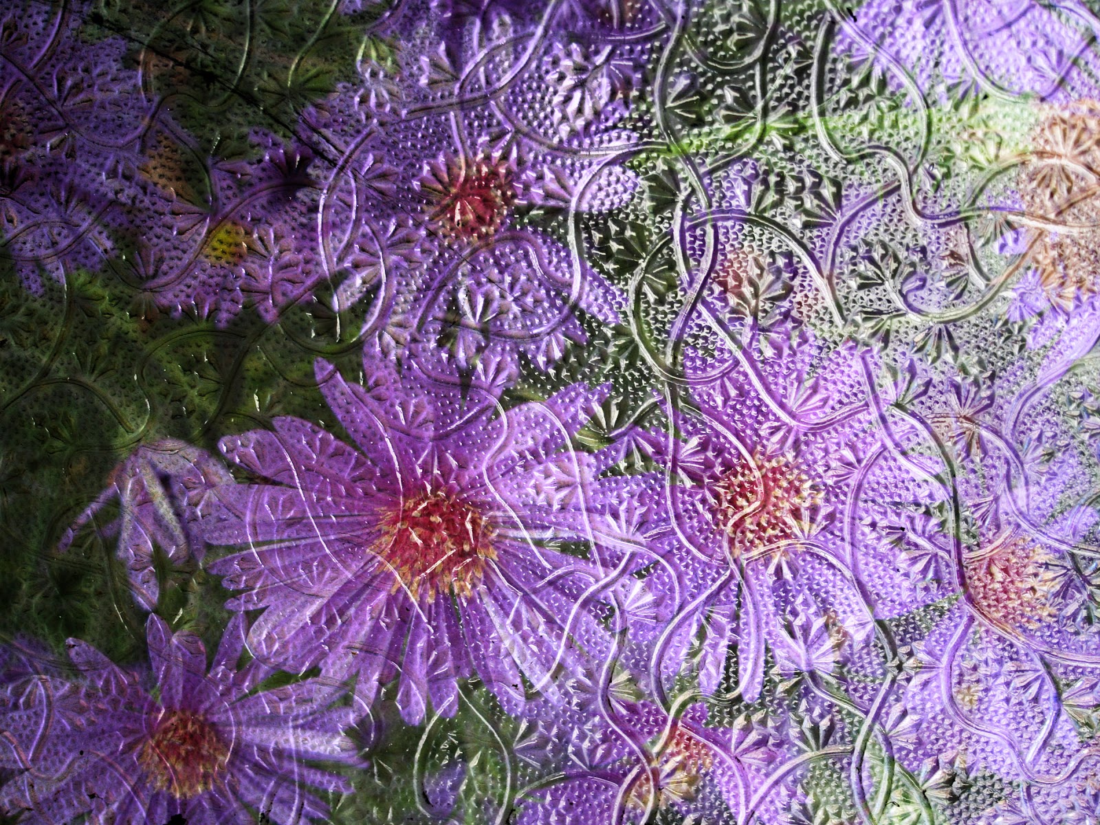 STAINED GLASS PATTERN:ASTER FLOWER ~ painting on glass