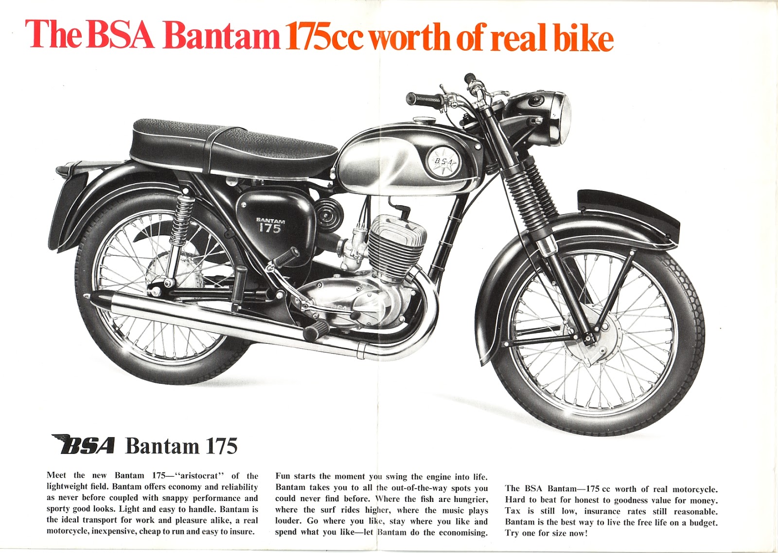 Red Devil Motors: BSA Bantam B175 1970