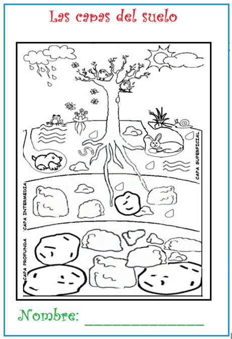 Fichas de Primaria: Ficha de las capas de suelo