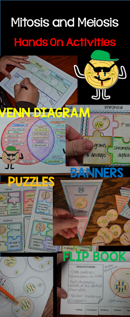Math in Demand: Mitosis and Meiosis