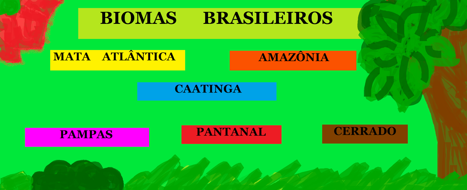 Estudar é aqui!: Ciências : BIOMAS BRASILEIROS