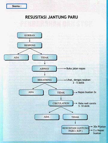 Skema Resusitasi Jantung Paru ~ Pertolongan Pertama