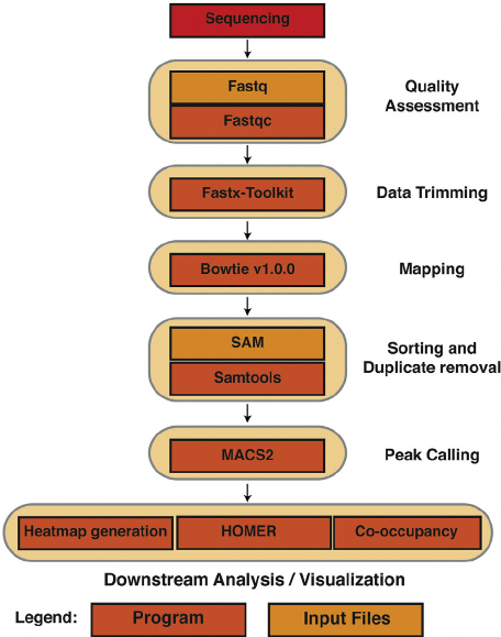 El nanoblog del Gonz: Pipeline: un tipo de workflow