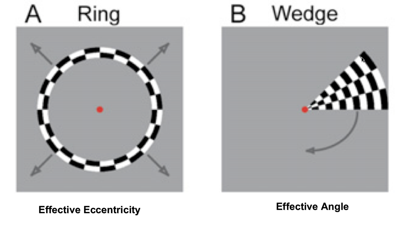 =Vision Group fMRI analysis guide=: Ring Stimulation with Single Shot ...