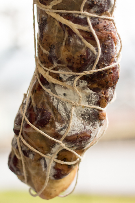 Growing Mold on Cured Salami