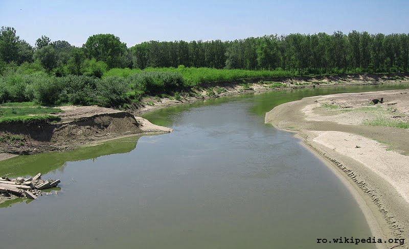 Pasiunea Pescuitului: Raul Siret