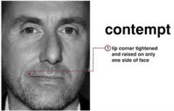 Linto Experiment: MicroExpression