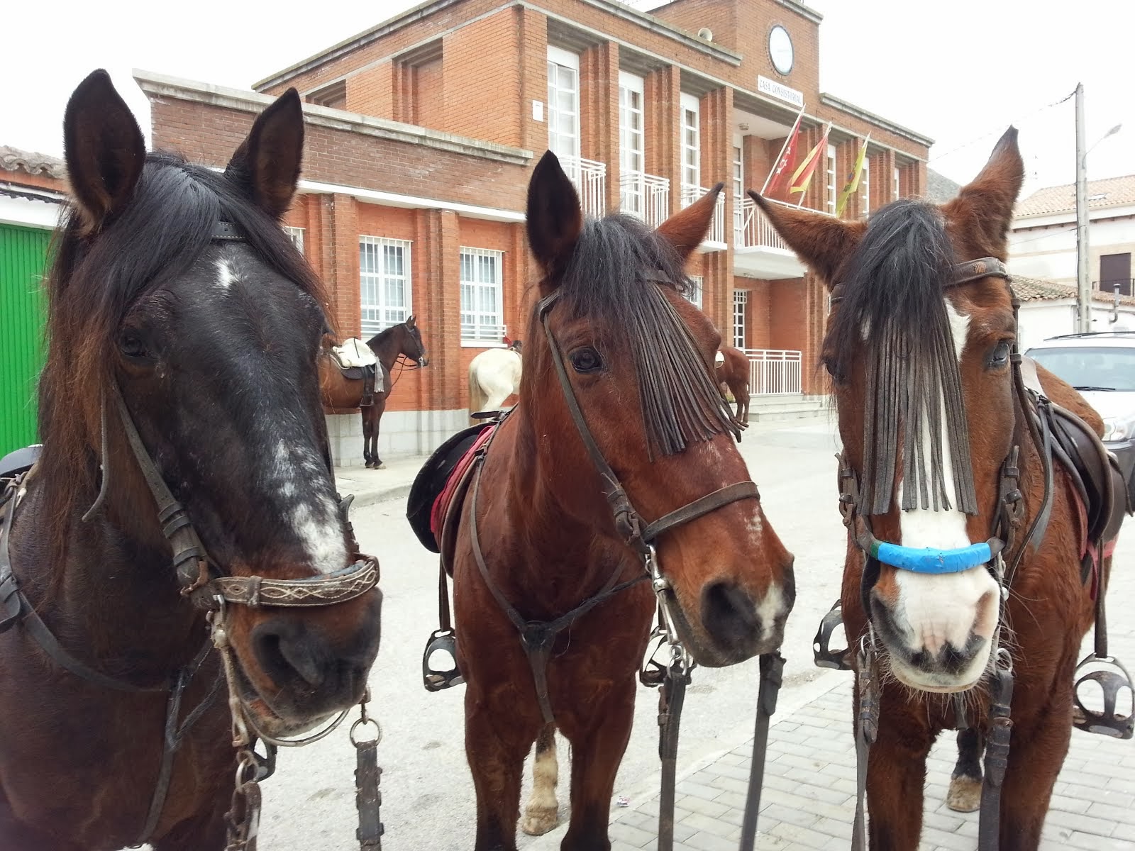 HÍPICA "LA CAPRICHOSA"