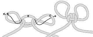 New Approaches with Knot Tying: The Quick Tie Spanish Bowline