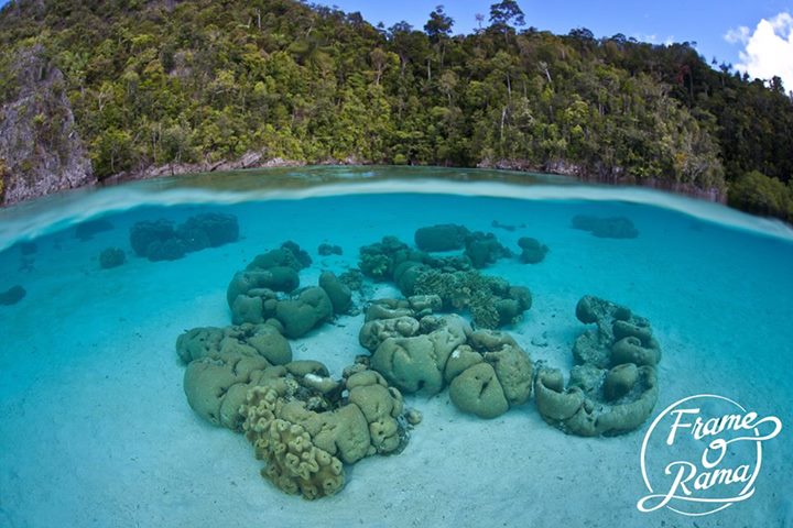 Dream Destination: Raja Ampat with #FrameORama ~ Life Is An Absurd Journey