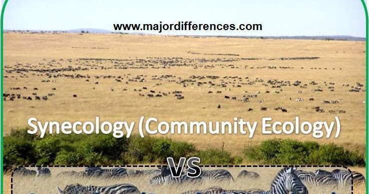 6 Differences between Autecology and Synecology | Major Differences