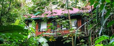 Thai Architecture Contemporary and Traditional: Tree Houses in Thailand