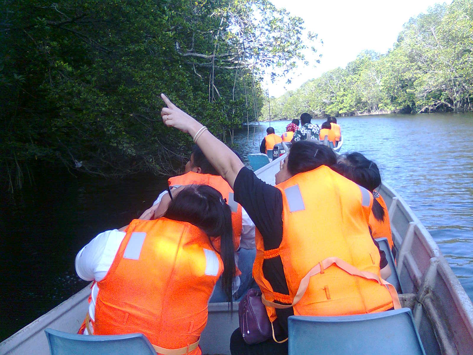 HAFIZ'S CHERATING ACTIVITIES: cherating mangrove river cruise