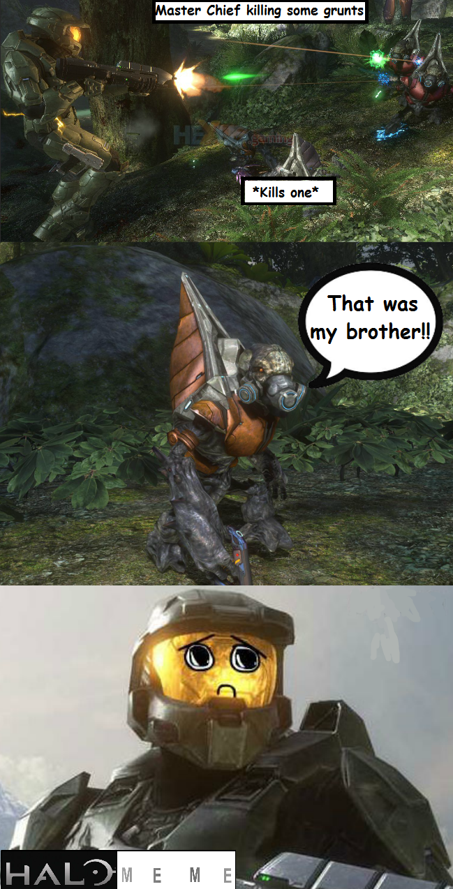 Halo memes
