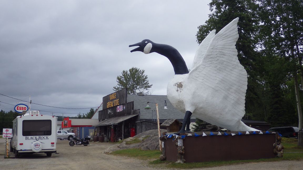 Dave'n'Kathy's Vagabond Blog: The Famous Goose of Wawa