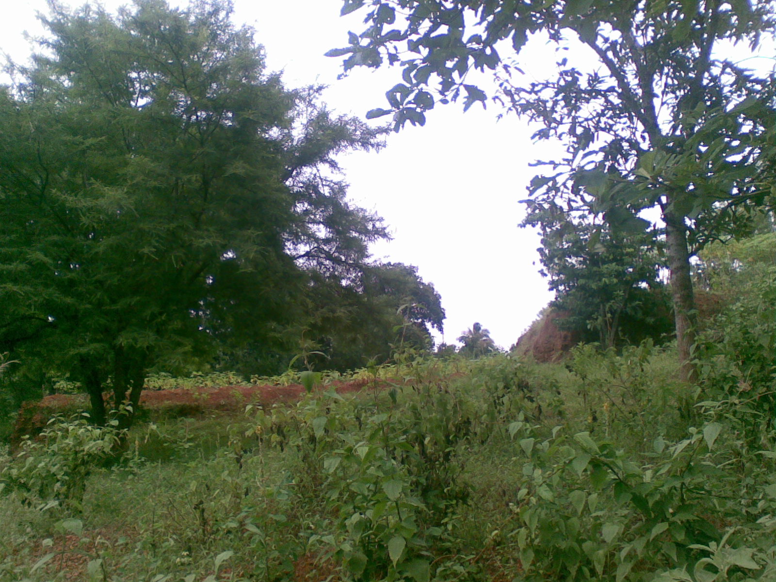 KOLLEMCODE ONLINE: Photo Gallery