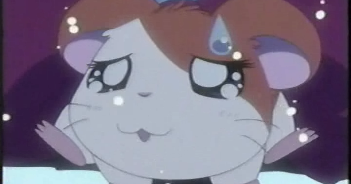Hamtaro Sparkle Episode