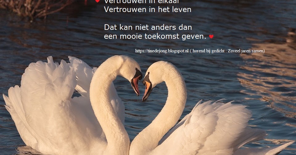 Gedichten en verhalen uit het leven : Zoveel jaren al samen