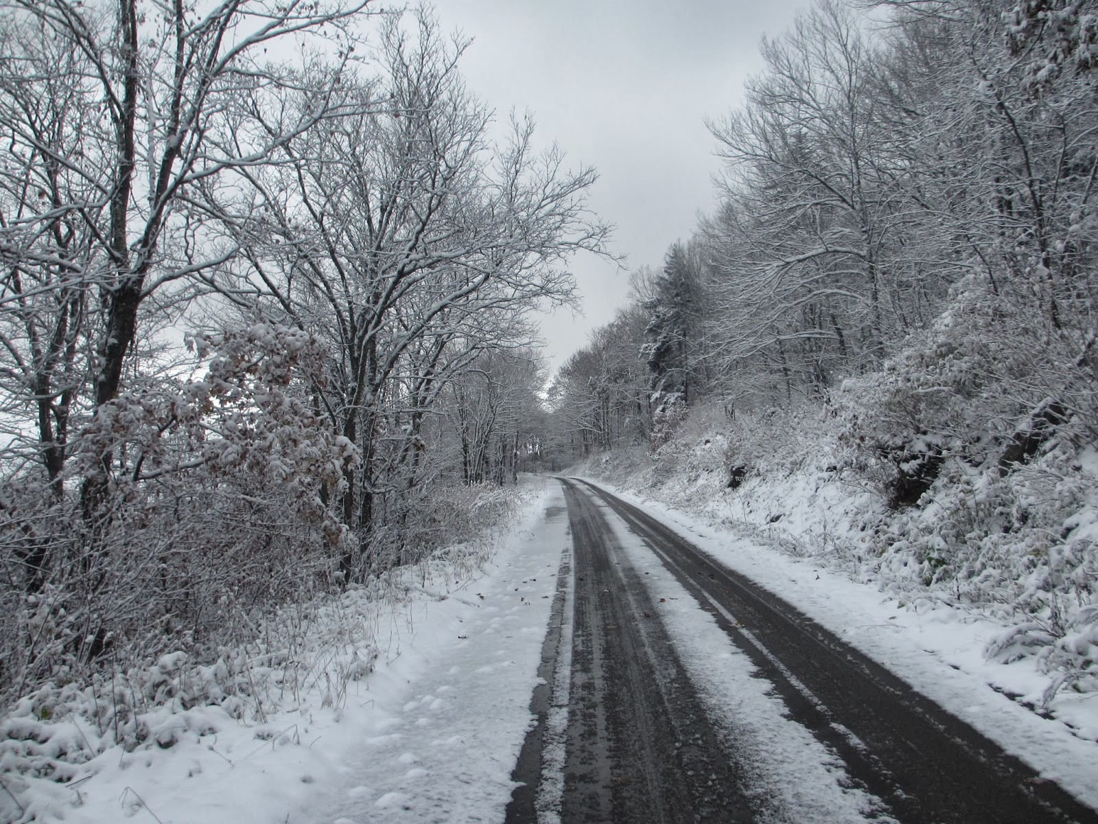 Cannundrums: Spruce Knob - High Point of West Virginia